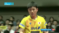 惨痛失利!张本智和VS樊振东,日乒一哥不容小觑!