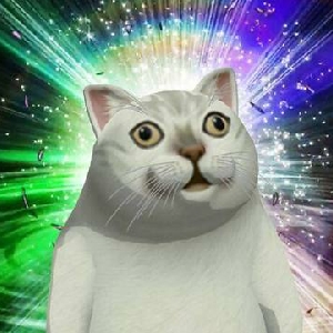 盒子里的猫猫猫猫猫 