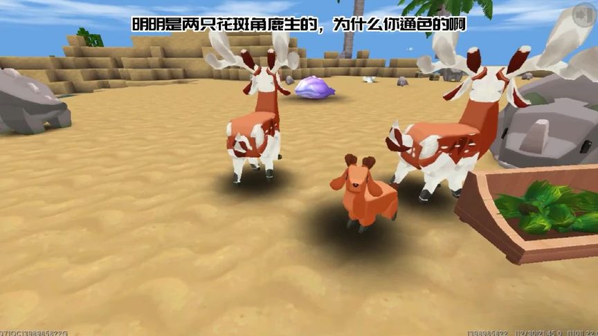 迷你世界海洋版本:沃沃兽何如驯服以及如何生宝宝