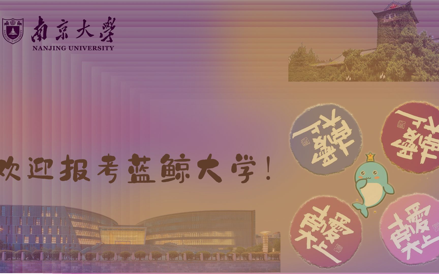 2021南京大学超燃宣传片