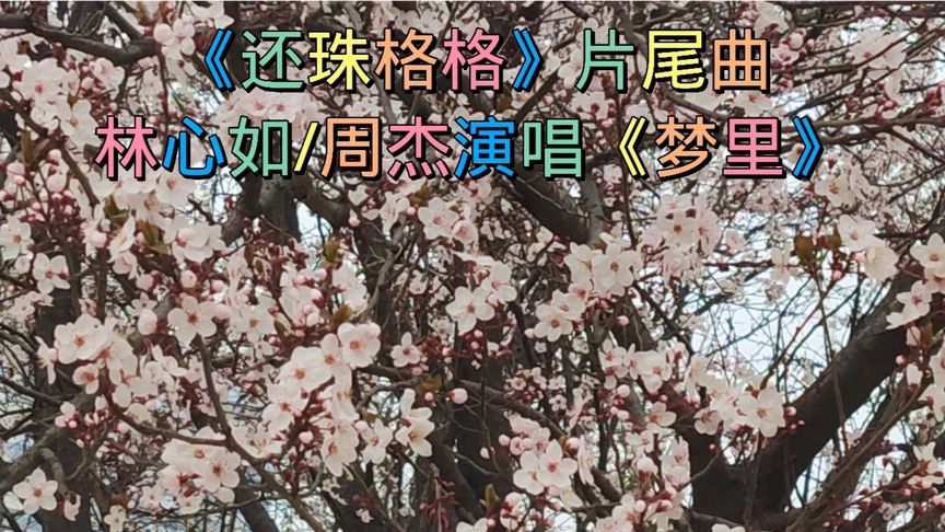 《还珠格格》片尾曲,林心如 周杰演唱,重温当年的暑假时光