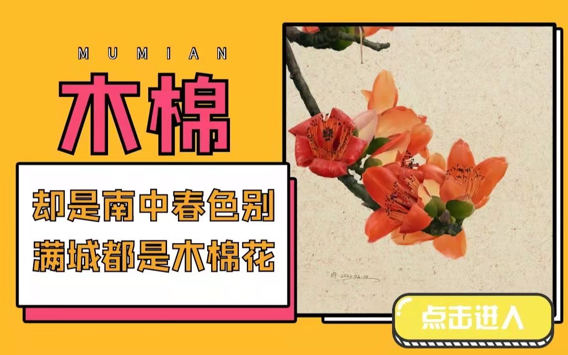 植物篇:木棉 | 海南热带雨林国家公园科普视频系列