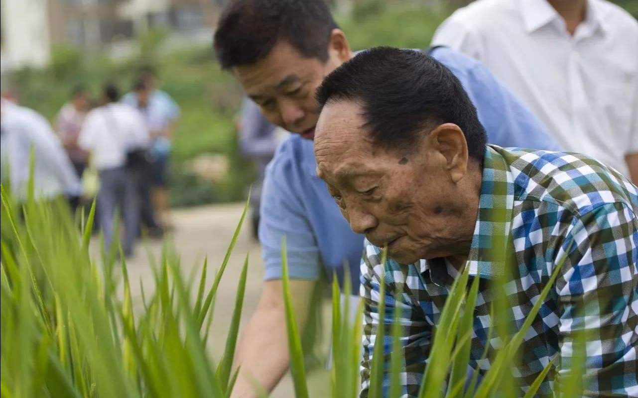 为什么说袁隆平1008亿身价是低估了?厉害了,我的国,给袁老点赞