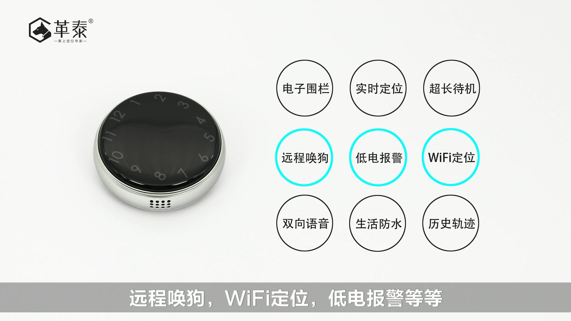 革泰宠物定位器宣传片