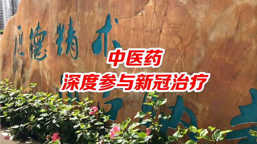 中医药参与抗击新冠肺炎疫情