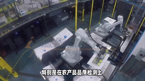 机器视觉技术在农产品品质自动识别中的应用