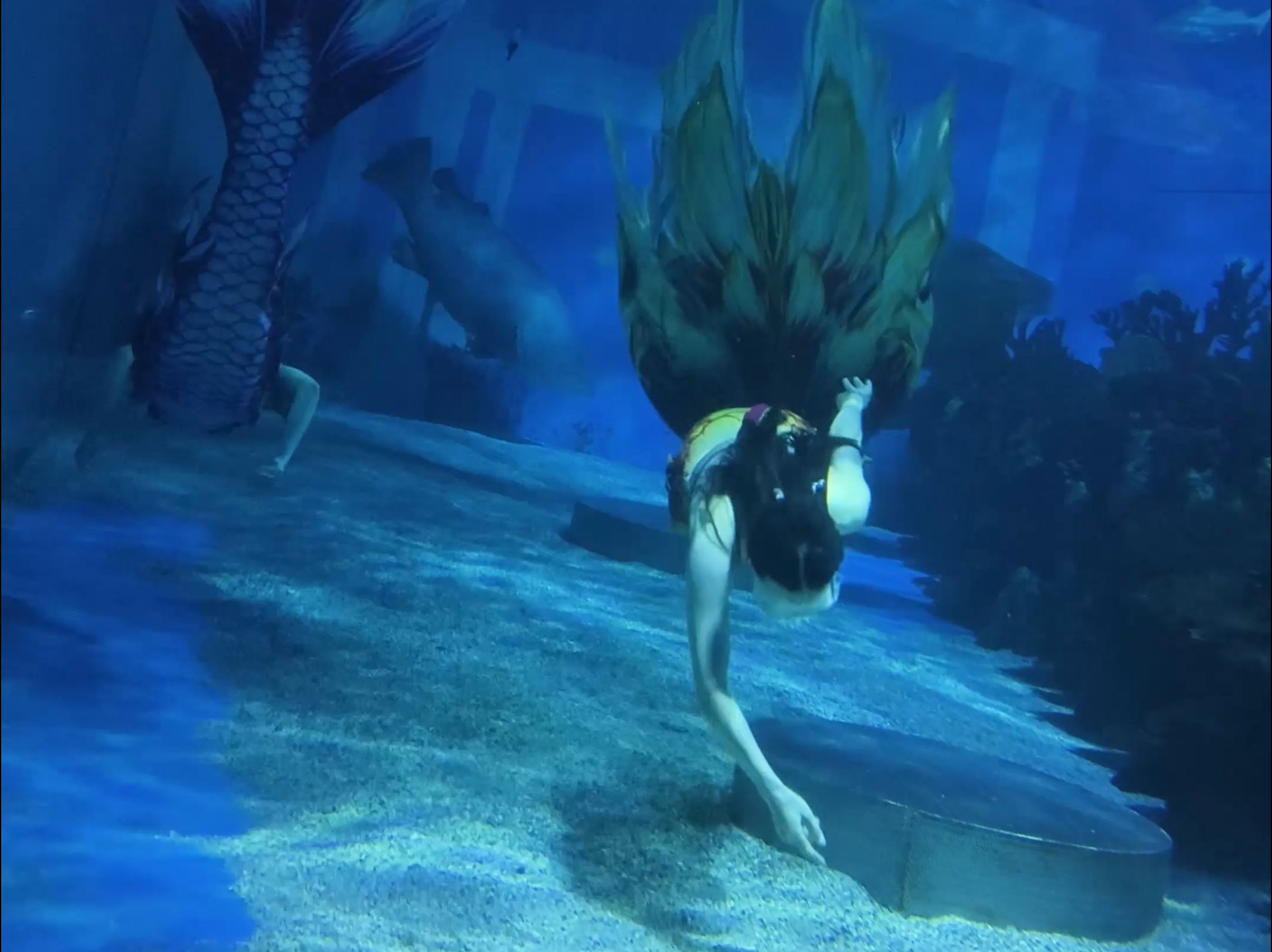 成都浩海立方海洋馆