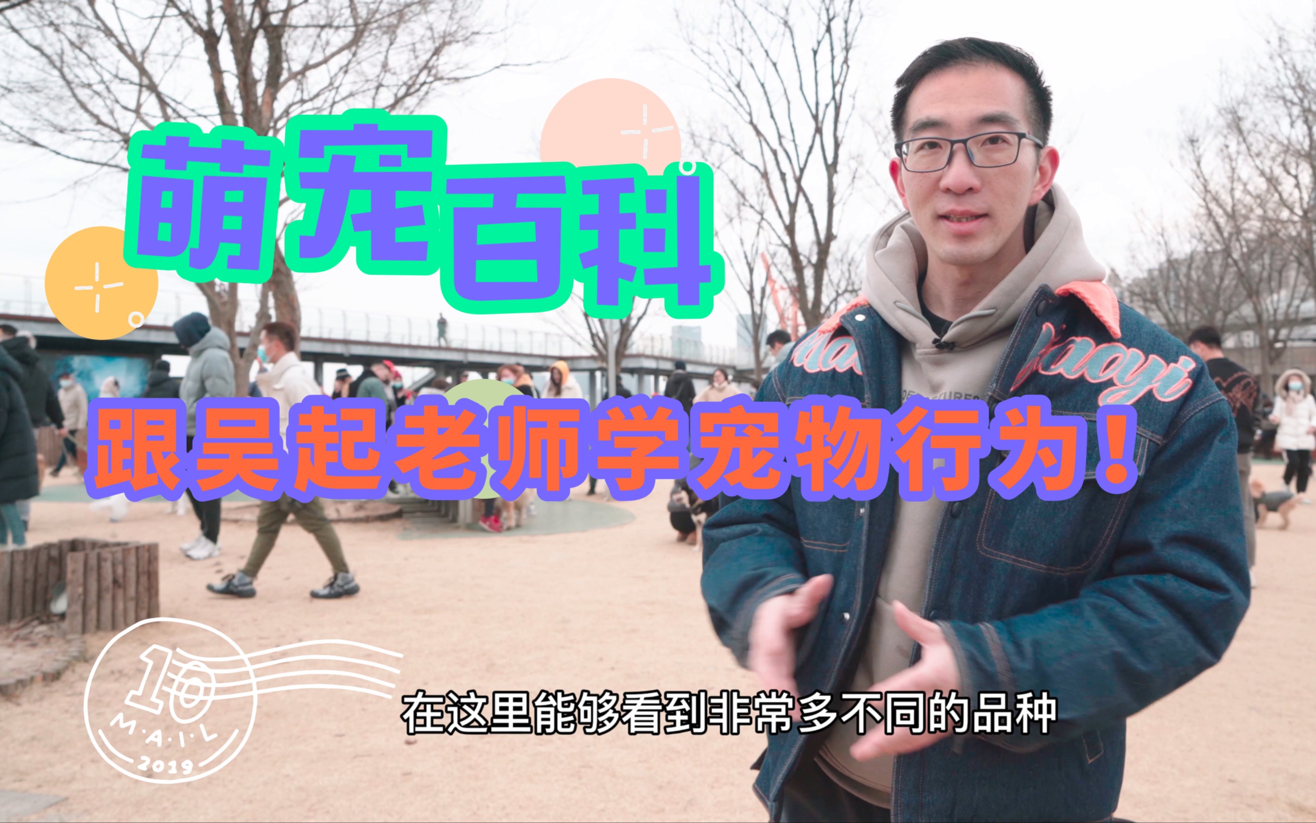 【萌宠百科-跟吴起老师学宠物行为】第01集(攻击大狗的小型犬)