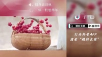 文案不断,拍照也不怕,我们教你如何设计,有这些文案要学会