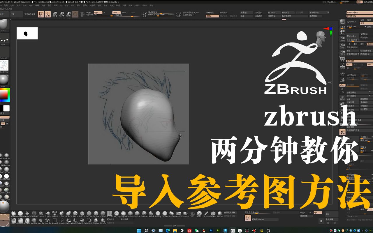 新手还不知道如何将参考图片导入zbrush?两分钟教会你!zbrush新手...