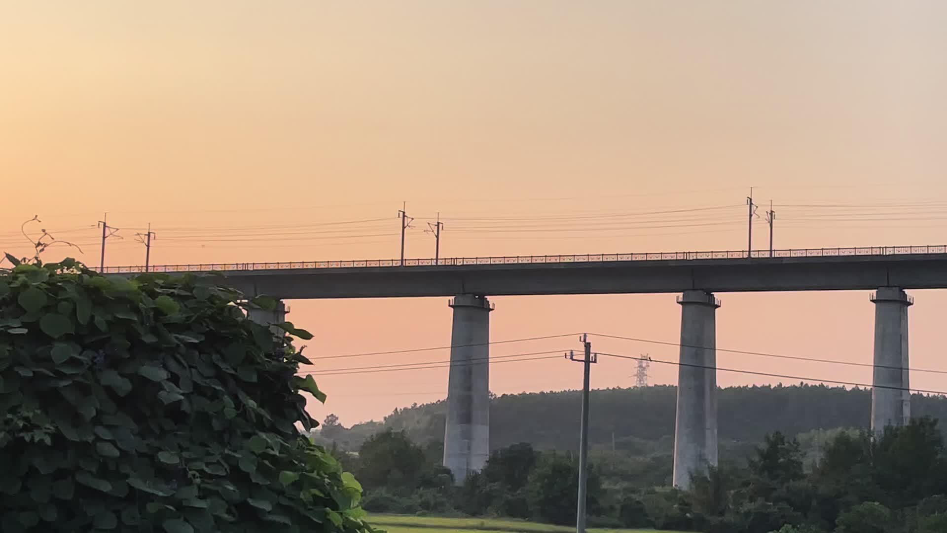 G5016厦门到景德镇北,中途停靠漳州、南靖、龙山镇、龙岩、长汀南...