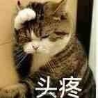 狗-系-统 
