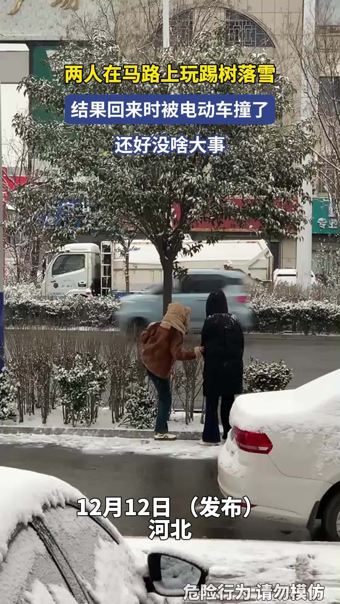 两人在马路上玩踢树落雪,结果回来时被电动车撞了
