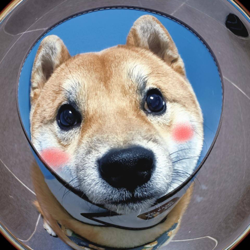 汤姆同学_ 