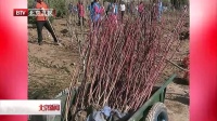 坚持全国动员全民动手植树造林 把建设美丽中国化为人民自觉行动 ...