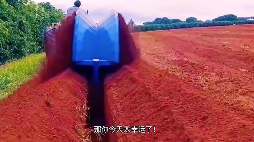 工程机械车!纪录片世界之最科普