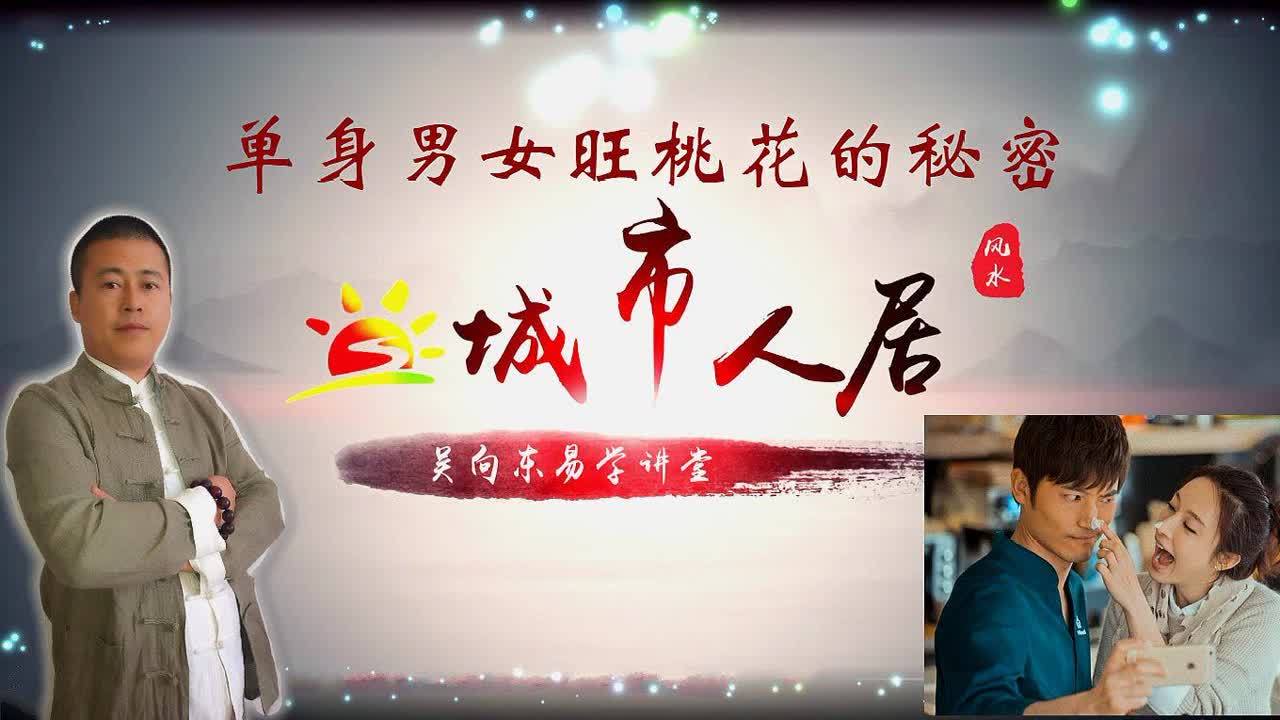 吴向东城市人居风水学,23九星翻卦掌