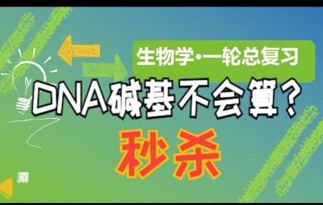【高中生物一轮复习】6.2-2DNA分子的结构习题课时精练 新高考生物...