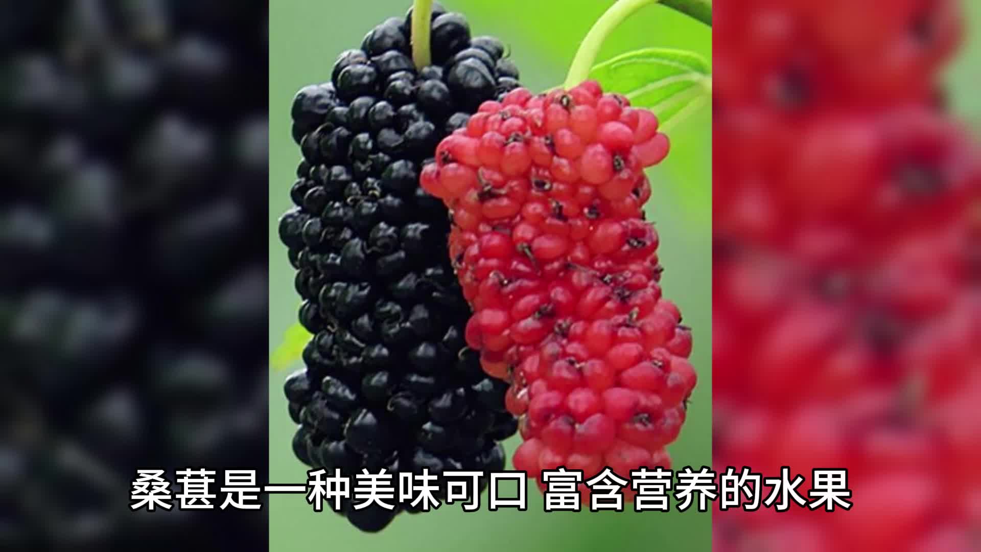 桑葚干泡水喝的功效都有哪些?盘点桑葚的十大功效