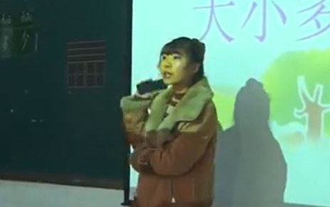 【公开课】《识字:大小多少》 王雅君 小学一年级语文上册-部编人教...