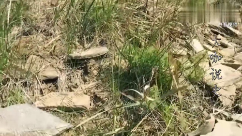 古人没有测绘仪,为何修的"直道"可以不偏不倚呢?佩服古人智慧