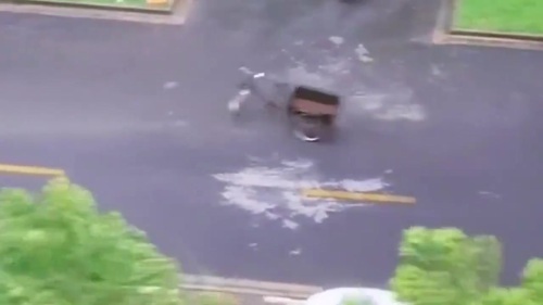 万物皆有灵性,搞笑,让我们荡起双桨