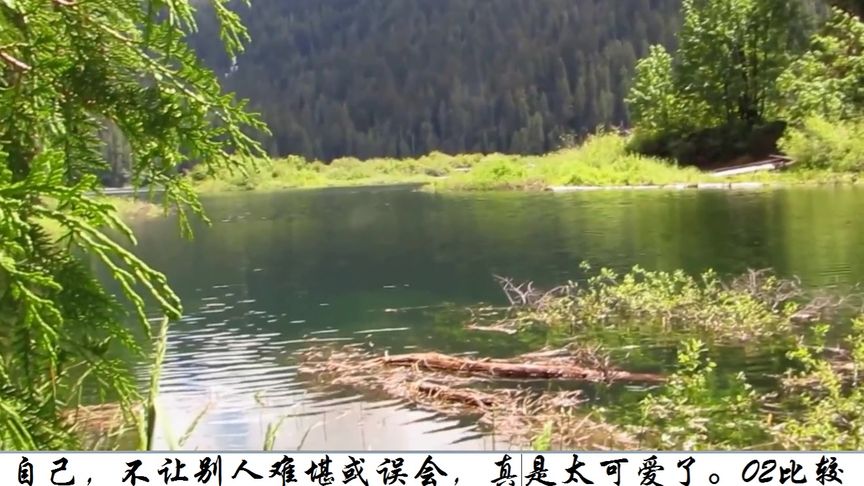 散文-及时准确地表达自己,才不会耽误人生