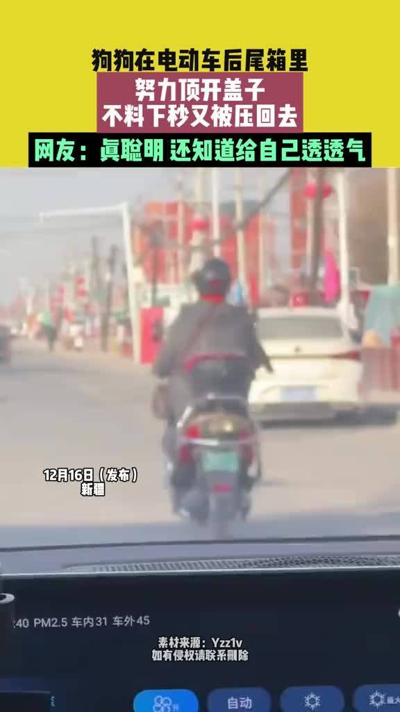 狗狗在电动车后尾箱里,努力顶开盖子,不料下秒又被压回去