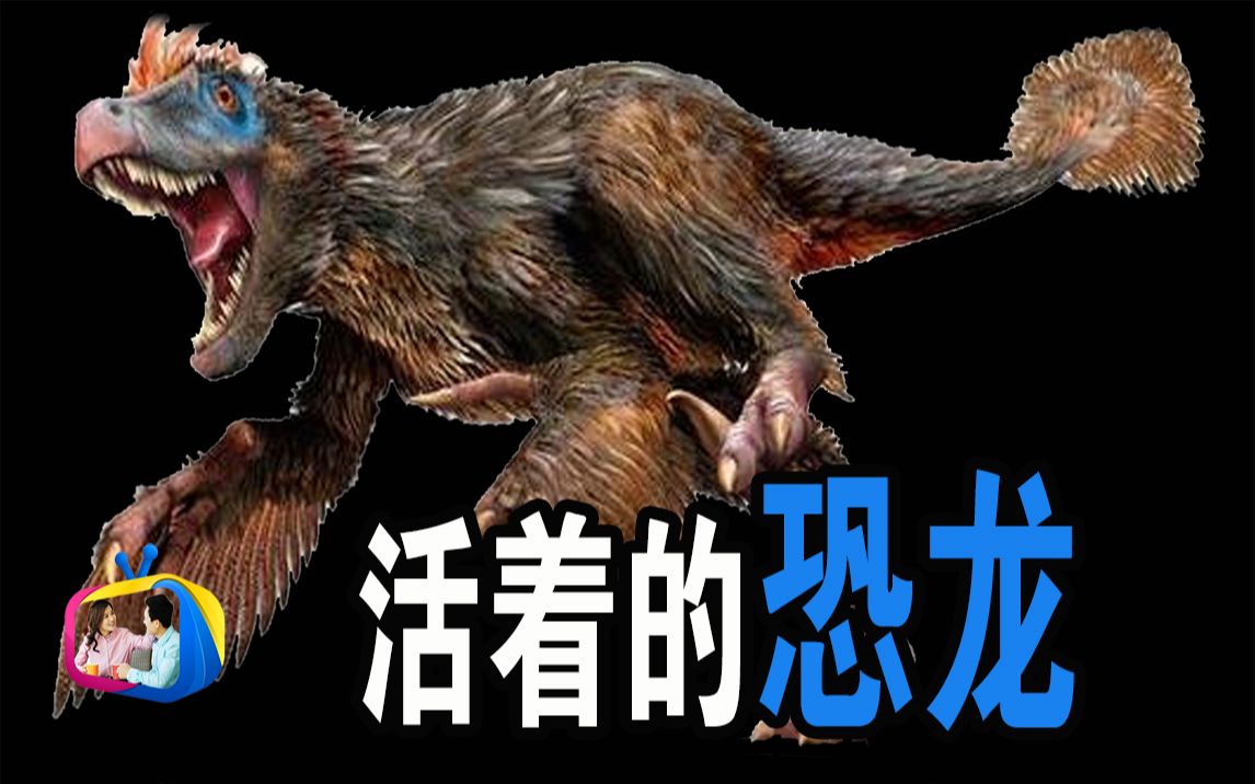 恐龙没有灭绝的科学事实 | 你吃的炸鸡也是恐龙的后代 | 达林and丽娜TV