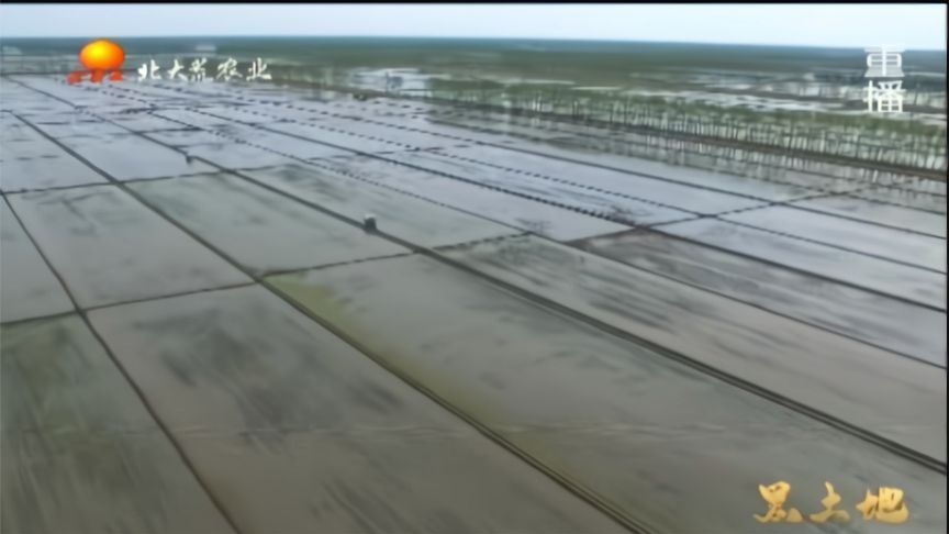 农业社会化服务组织年底预计超90万个