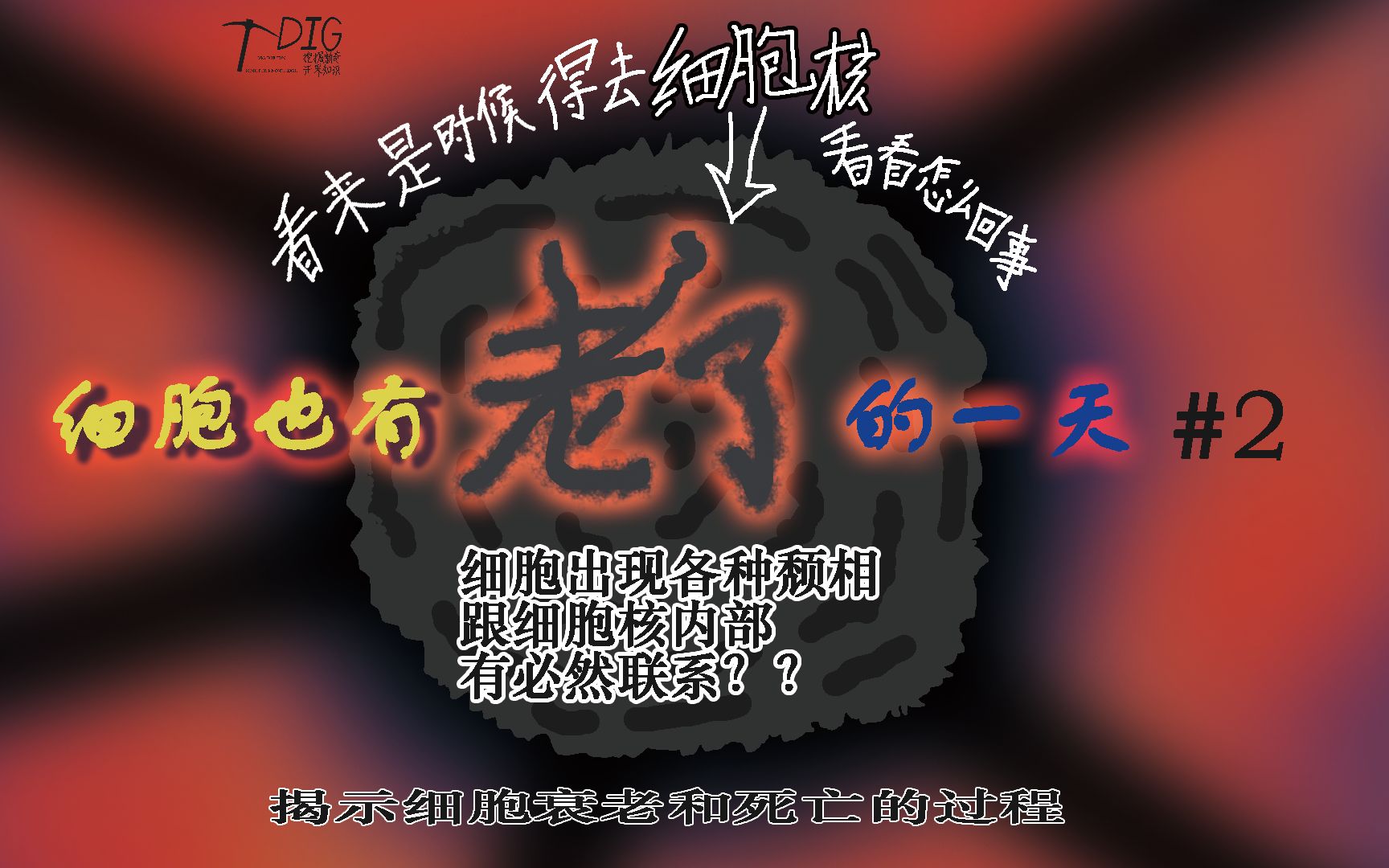 《细胞也有老了的一天》矛头指向细胞核!然而当小分子潜入,眼前一幕...
