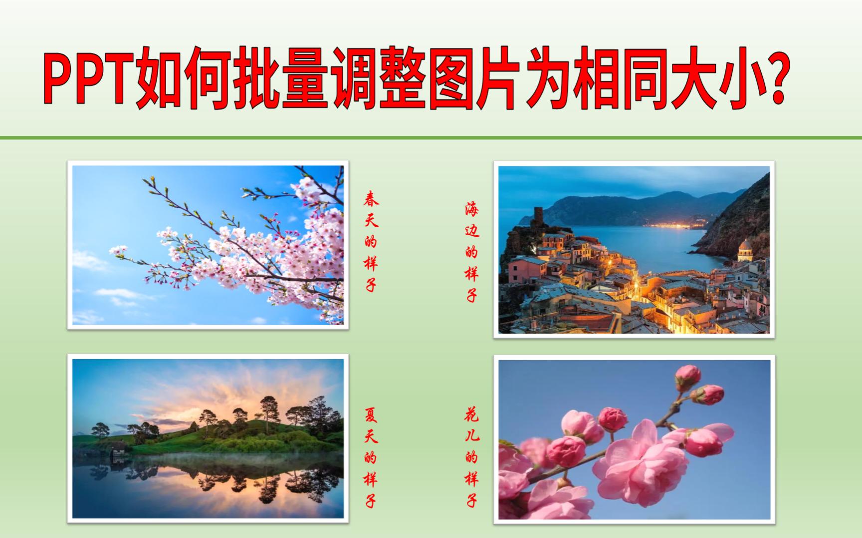 PPT怎样批量调整图片为相同尺寸?统一图片大小,一步到位