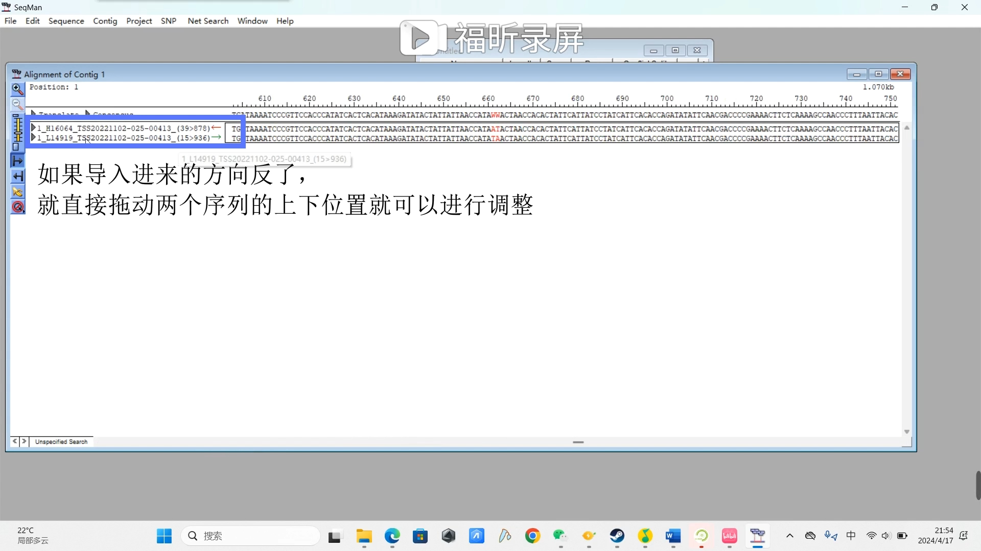 SeqMan拼接双向测序序列