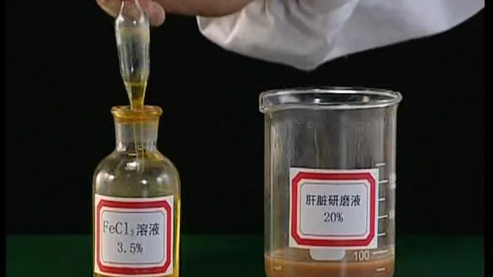 比较过氧化氢在不同条件下的分解