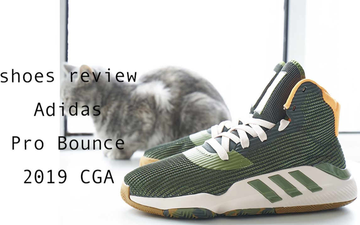 不负责球鞋评测:adidas Pro Bounce 2019 GCA