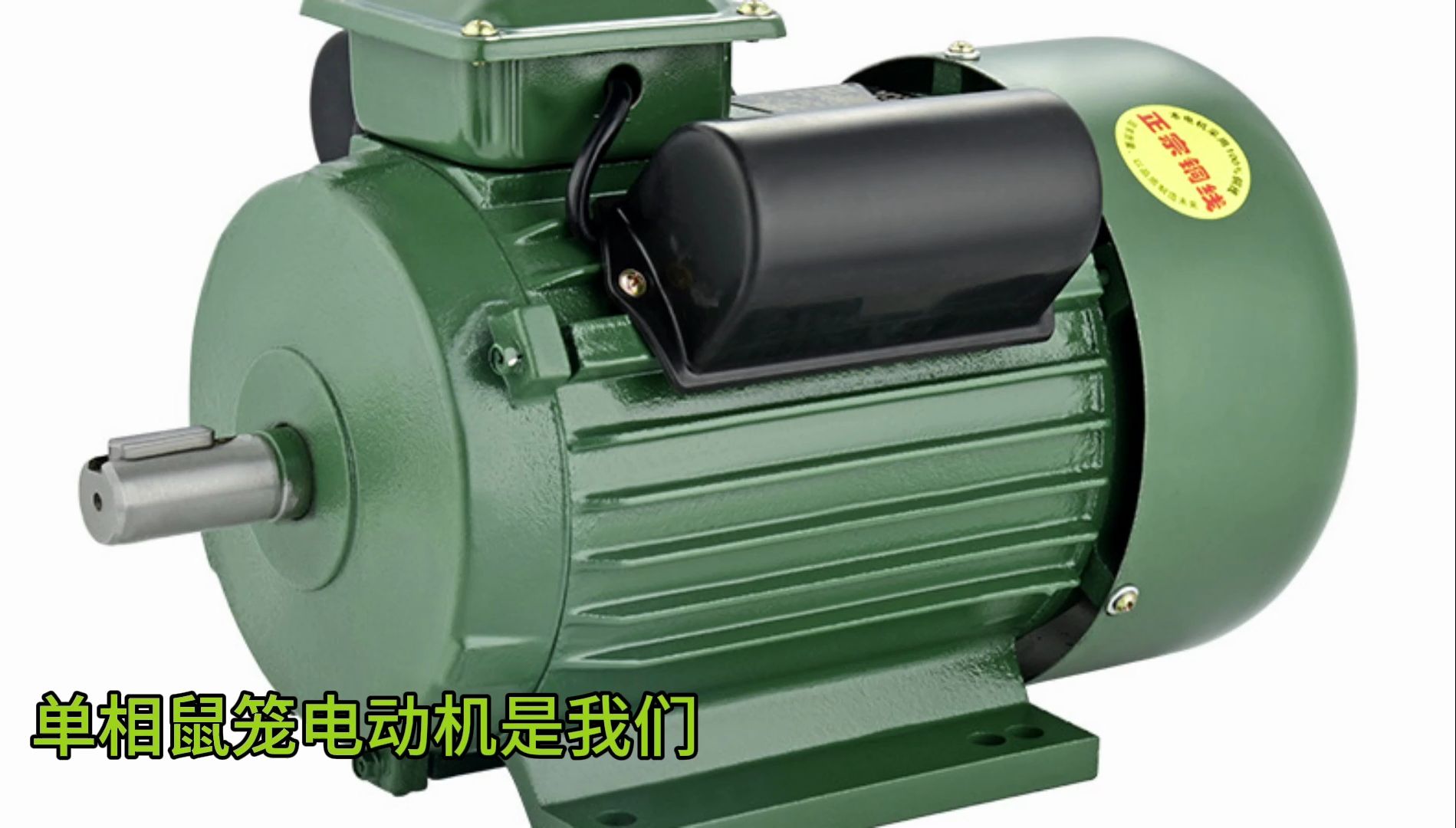 单相鼠笼异步电动机