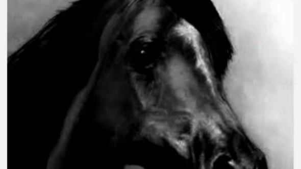 北鸿大师画马速写。印象派马王。开创楚汉印象派。