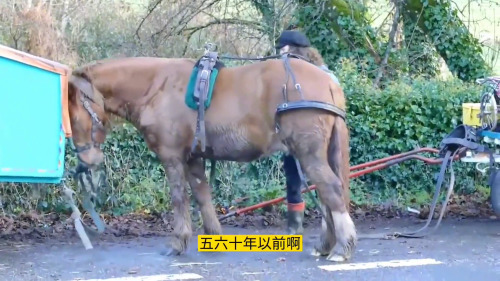 现在人们出行都是汽车,地铁,马车已经渐行渐远,马车很少见了