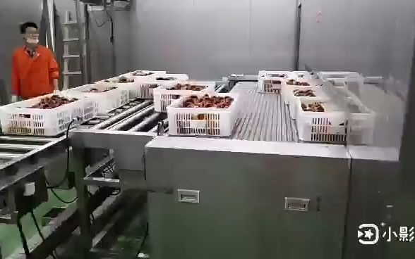 安徽酱卤食品整厂自动化生产线-冠猴智能