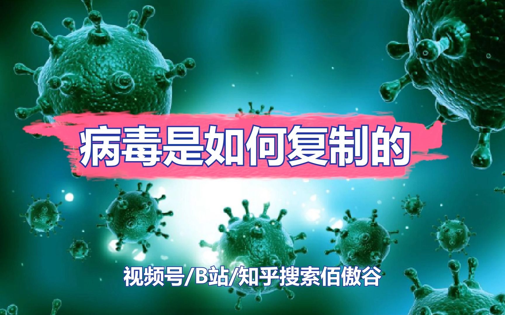 【科普】病毒是怎么复制的