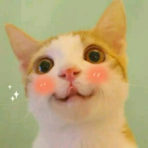 台州模玩眼镜 