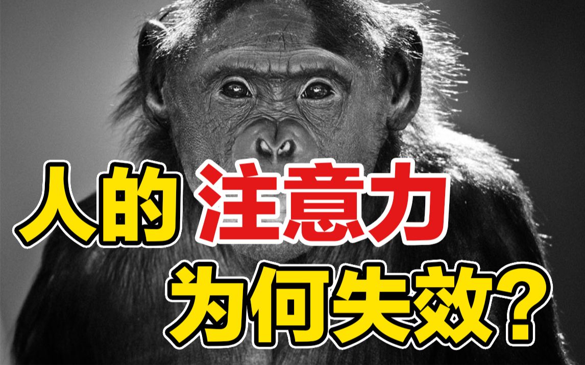 人的注意力是怎么失效的?诡异的猩猩实验