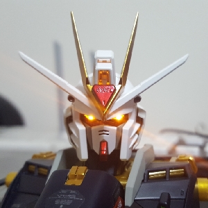 橘子罐头cc 