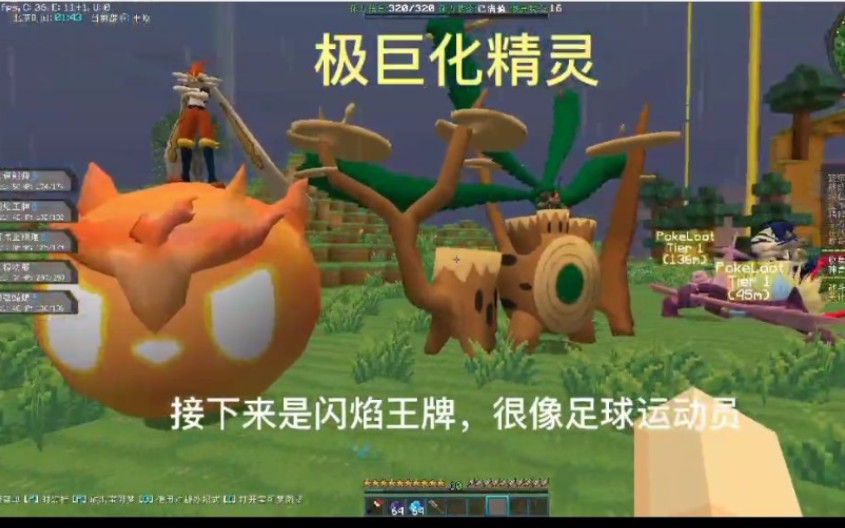...宝可梦]当你在我的世界看到极巨化团战、极巨化无极汰、闪焰王牌那...