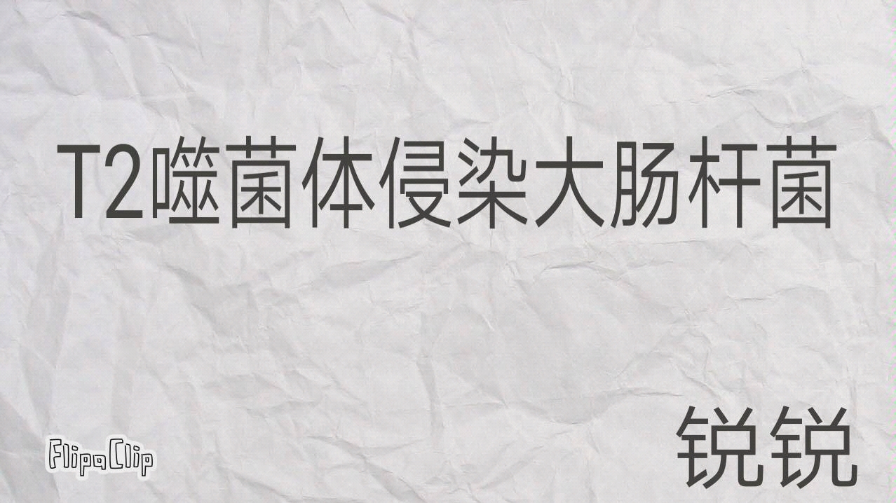 T2噬菌体侵染大肠杆菌