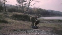 电影《白桦林中的哨所》插曲:无言的战友