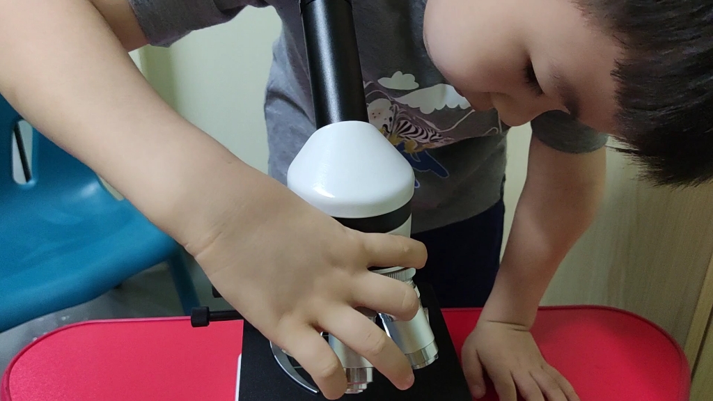 显微镜 科学 幼儿 学习使用显微镜 制作标本