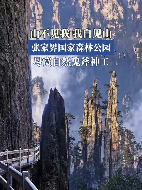 山不见我,我自见山!张家界国家森林公园,尽赏自然鬼斧神工!