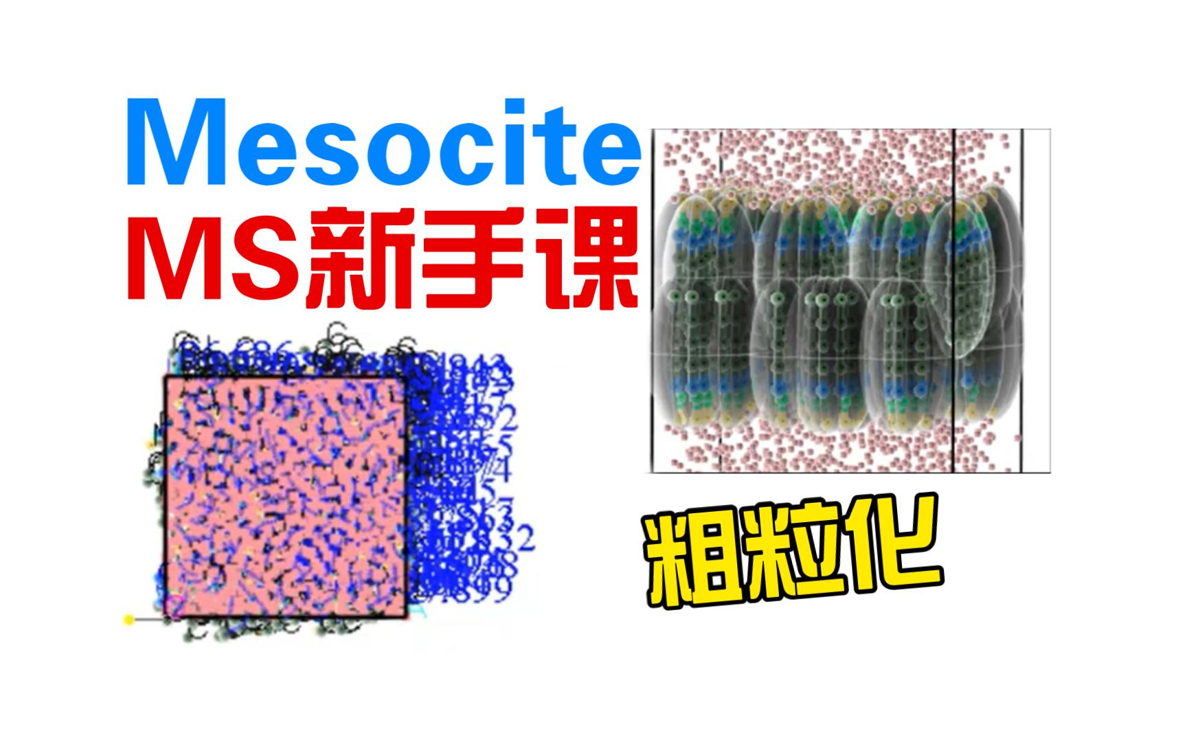 [Materials Studio] Mesocite模块教学-磷脂双分子层的粗粒化分子动力学...