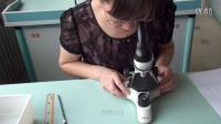 初中八年级生物实验{观察番茄果肉细胞}